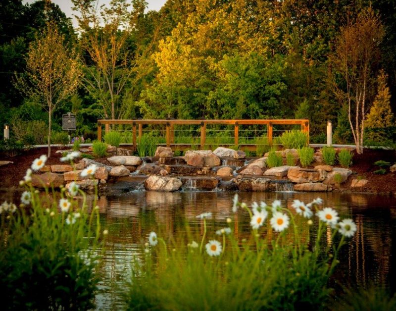 Natural vs. Native Landscaping - Rost Landscaping