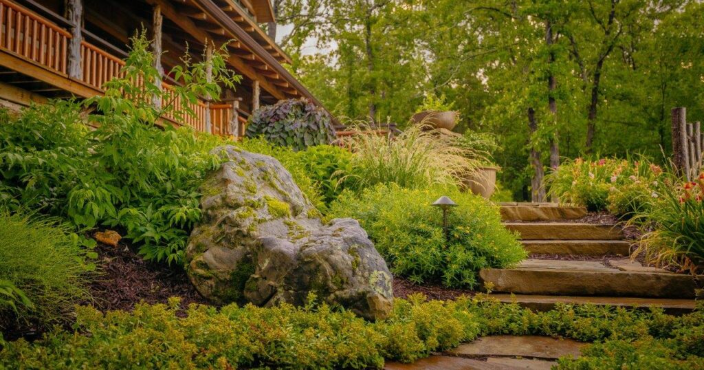 Romeo & Juliet Dwarf Cherry - Rost Landscaping